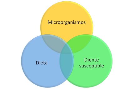 Ventana abierta a la familia - Contenido
